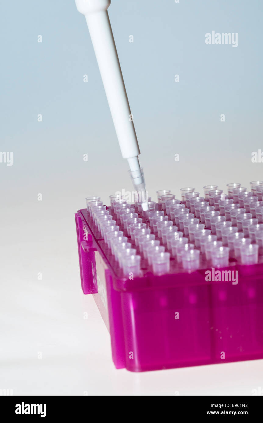 Enzyme Linked Immunosorbent Assay ELISA in a 96 well plate Stock Photo ...