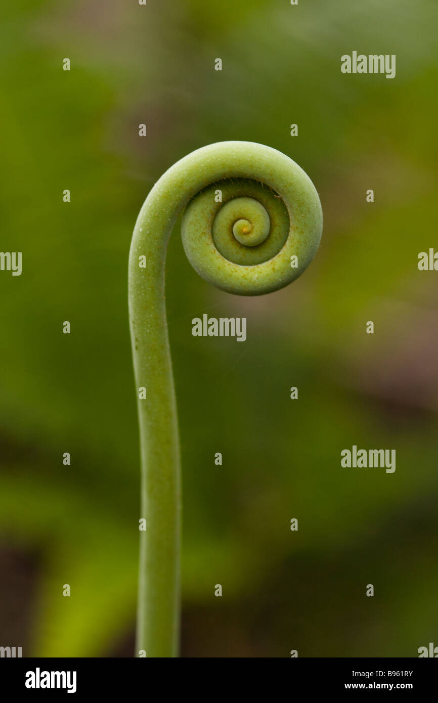 Unfolding hi-res stock photography and images - Alamy