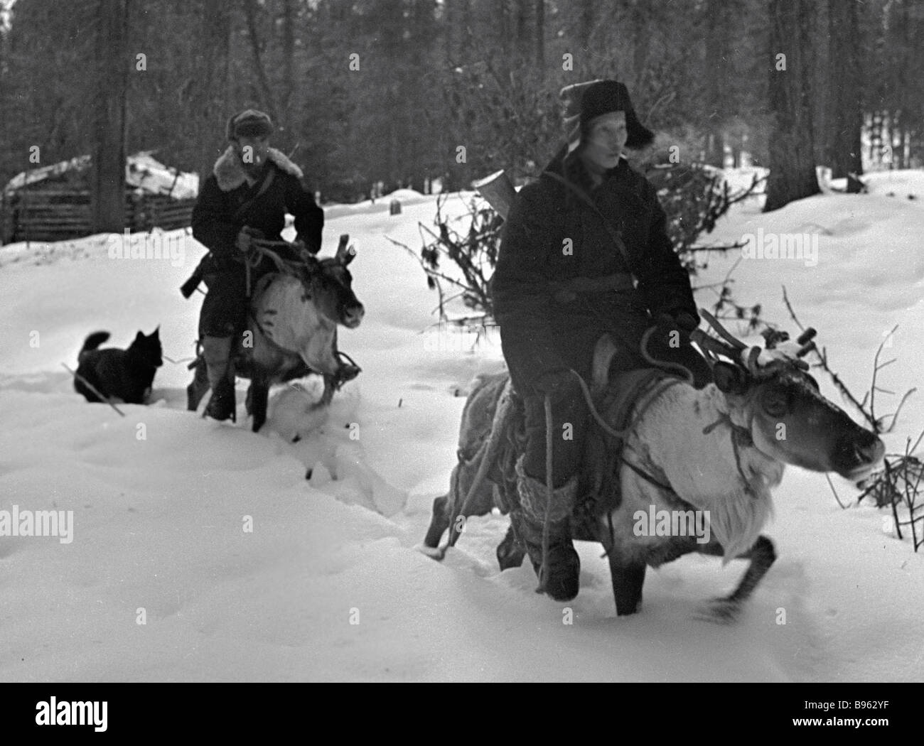 Hunters riding deer while tracking a lynx Stock Photo - Alamy