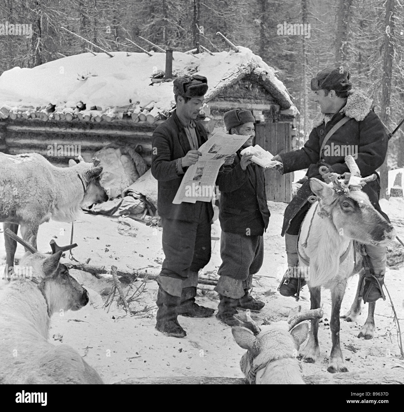 A postman on a deer brings fresh dailies for hunters Stock Photo - Alamy