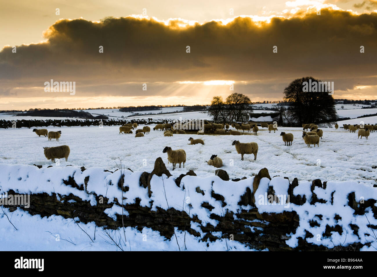 A winter sunset in the snow on the Cotswolds between Turkdean and ...