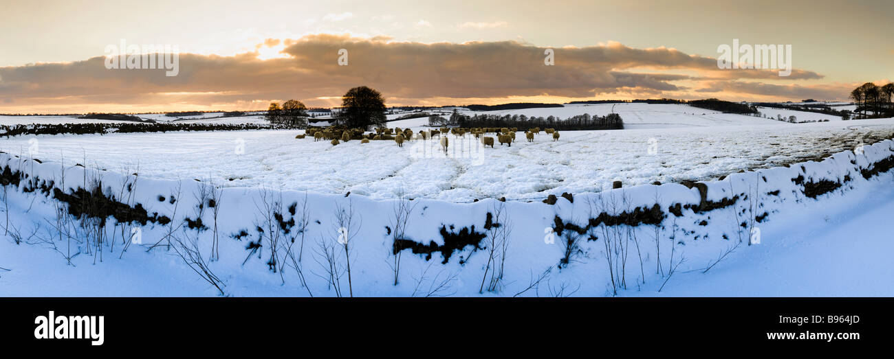 A winter sunset in the snow on the Cotswolds between Turkdean and ...