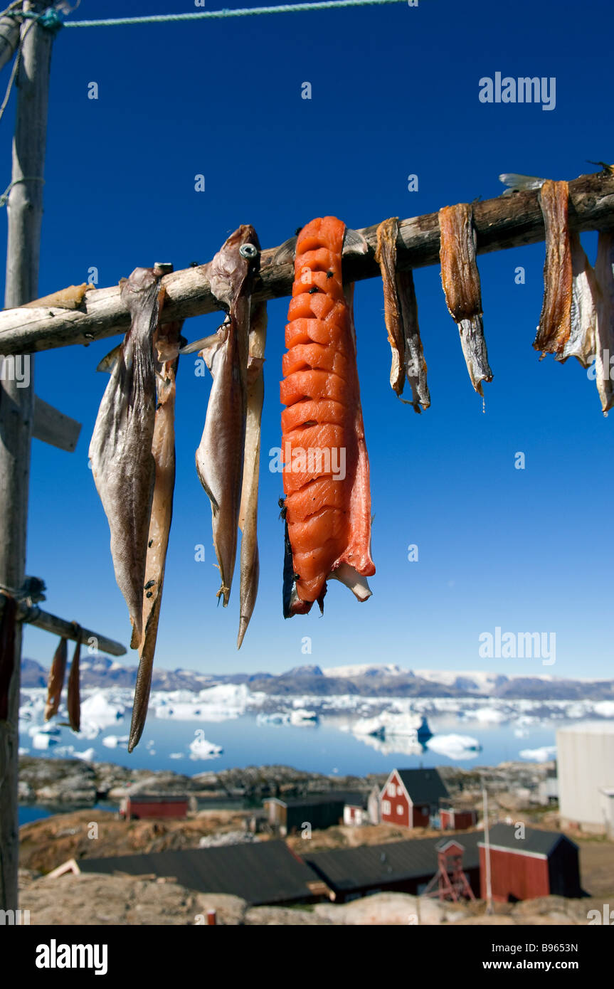 Inuit fish hi-res stock photography and images - Alamy
