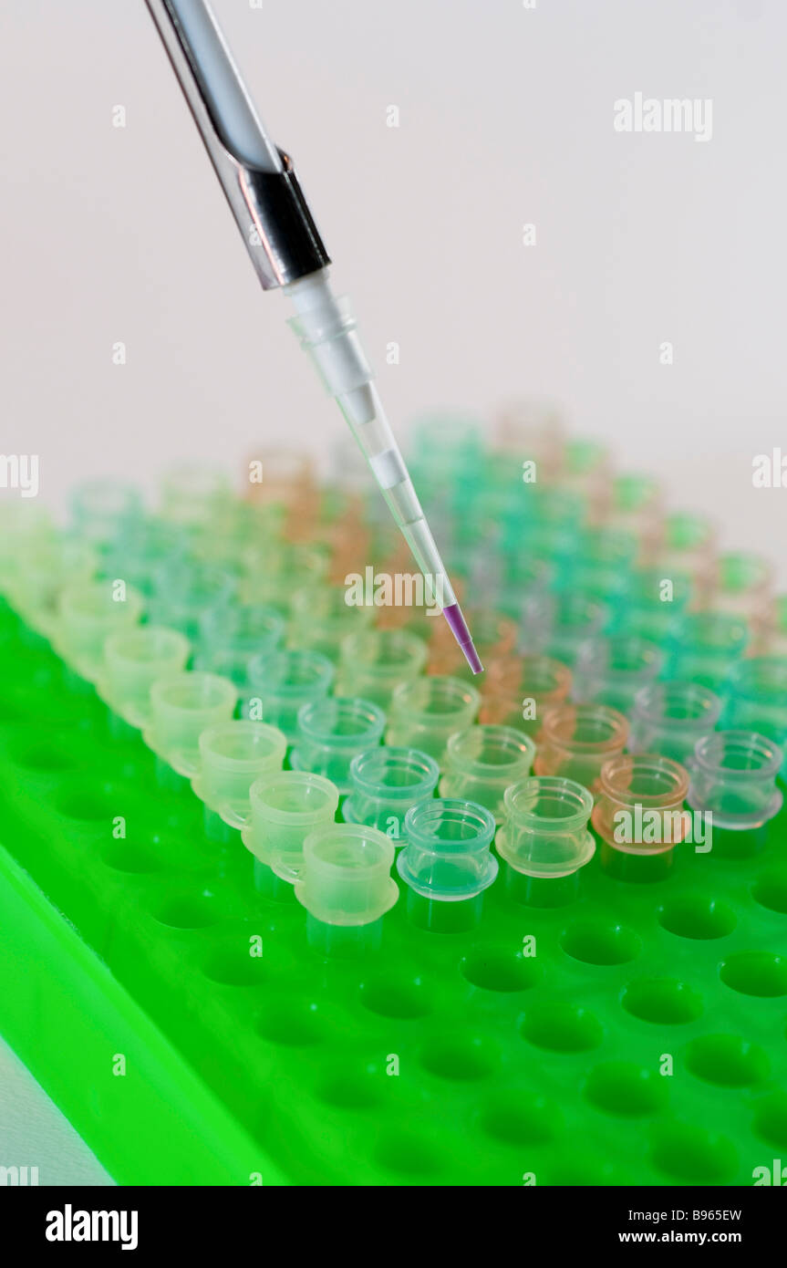 Enzyme Linked Immunosorbent Assay ELISA in a 96 well plate Stock Photo ...