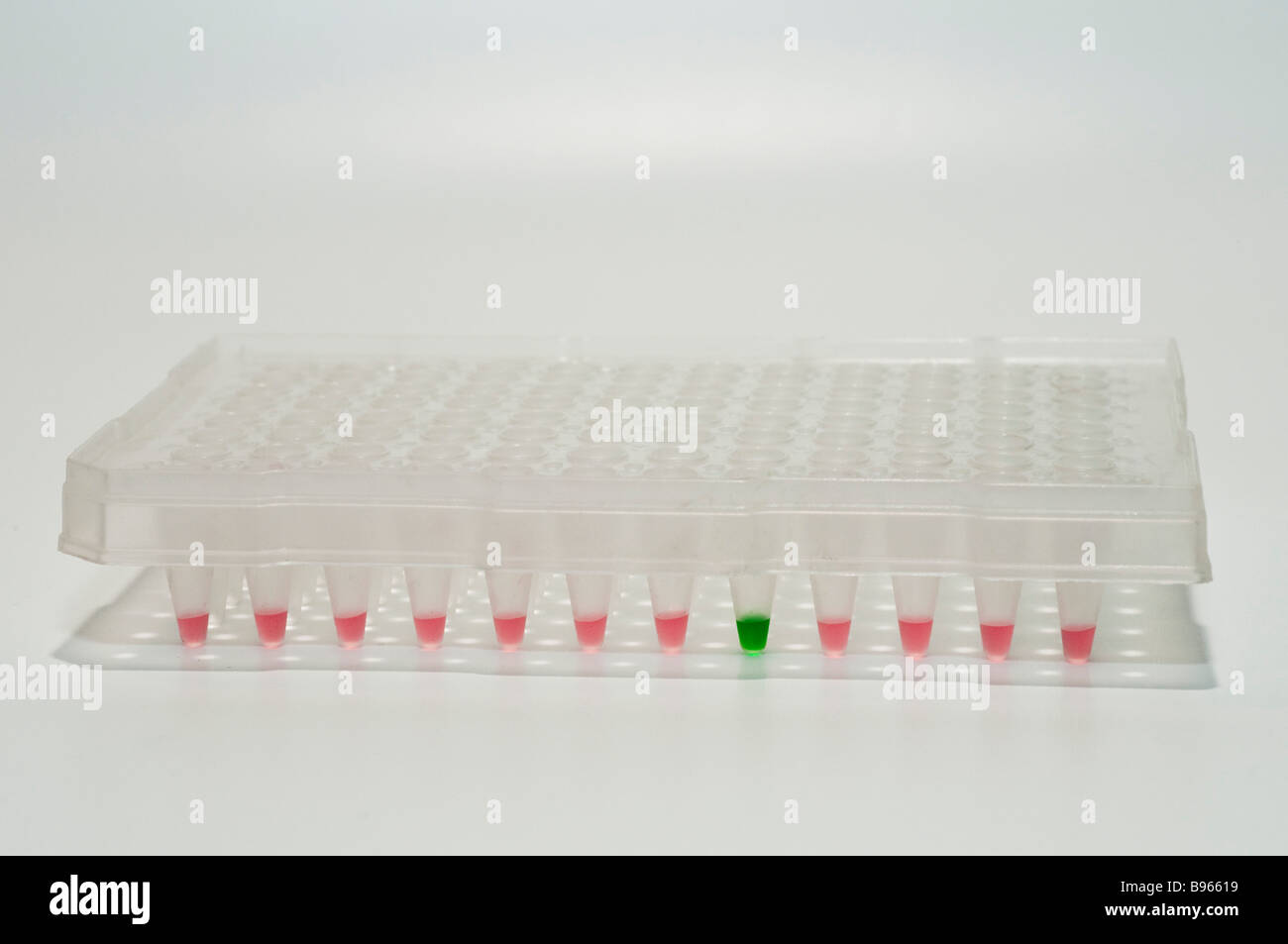 a 96 well plate used in medical and biological research on white ...