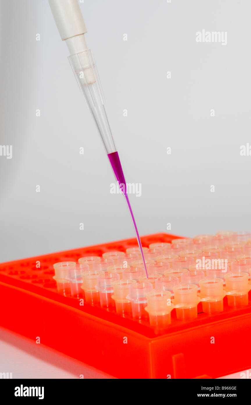 Enzyme Linked Immunosorbent Assay ELISA in a 96 well plate Stock Photo ...