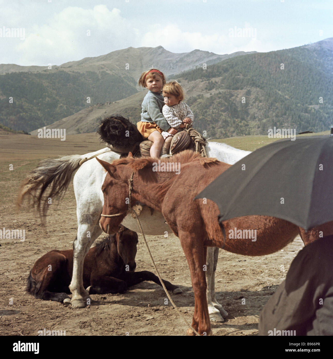 Little Svans as horse riders Stock Photo - Alamy