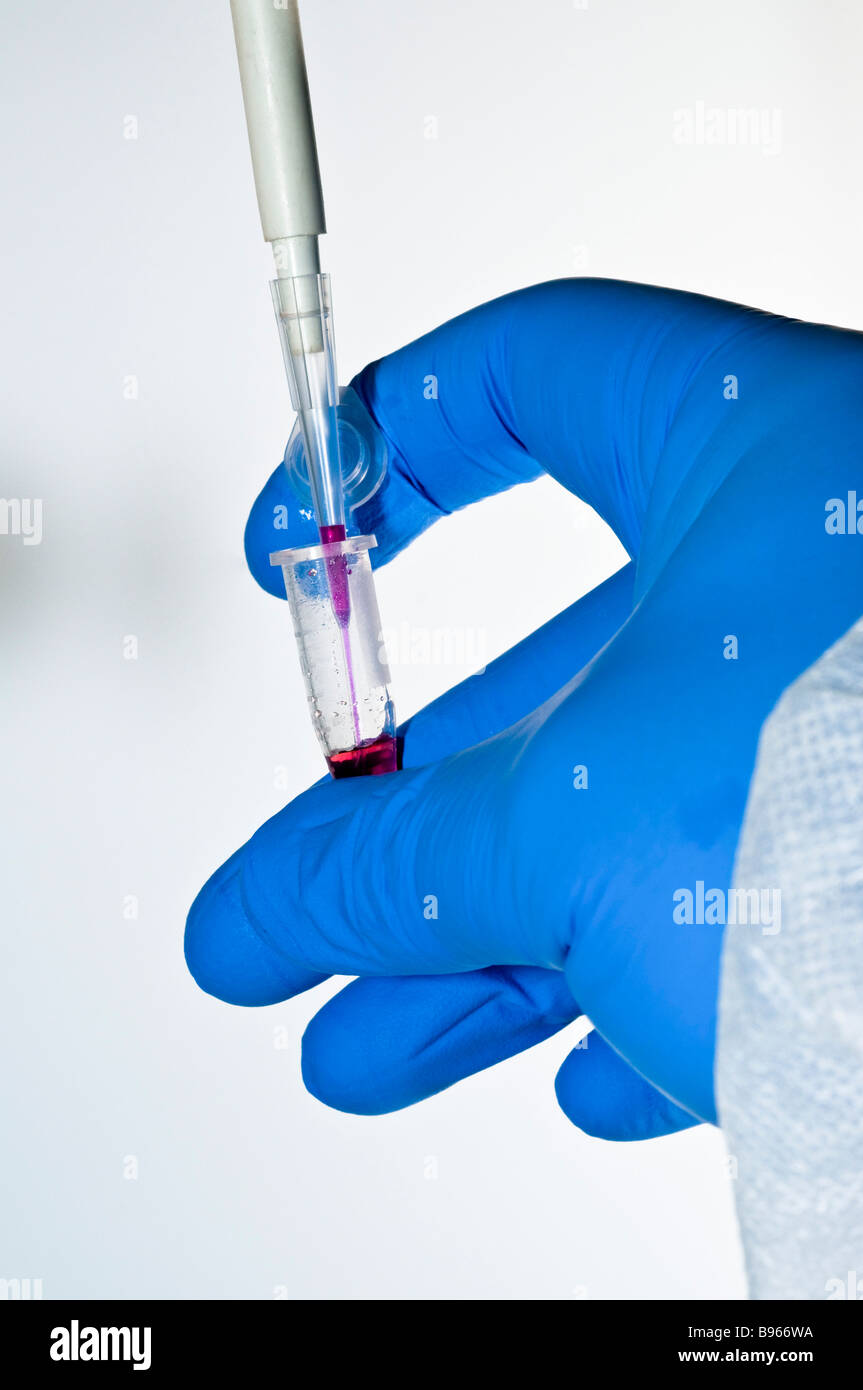 Enzyme Linked Immunosorbent Assay ELISA in a 96 well plate Stock Photo ...