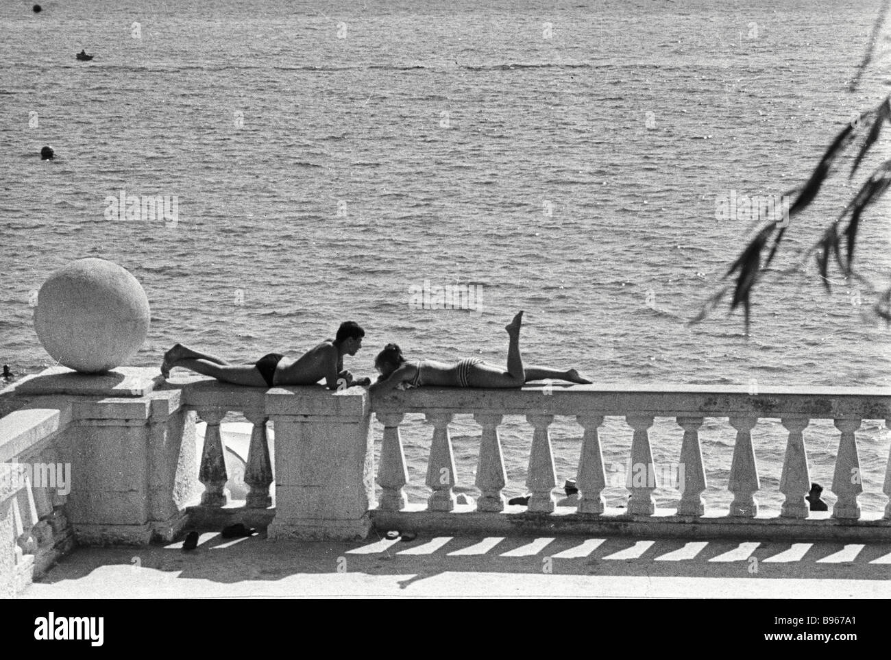 Sunbathing on the fence of the Sochi embankment Stock Photo - Alamy