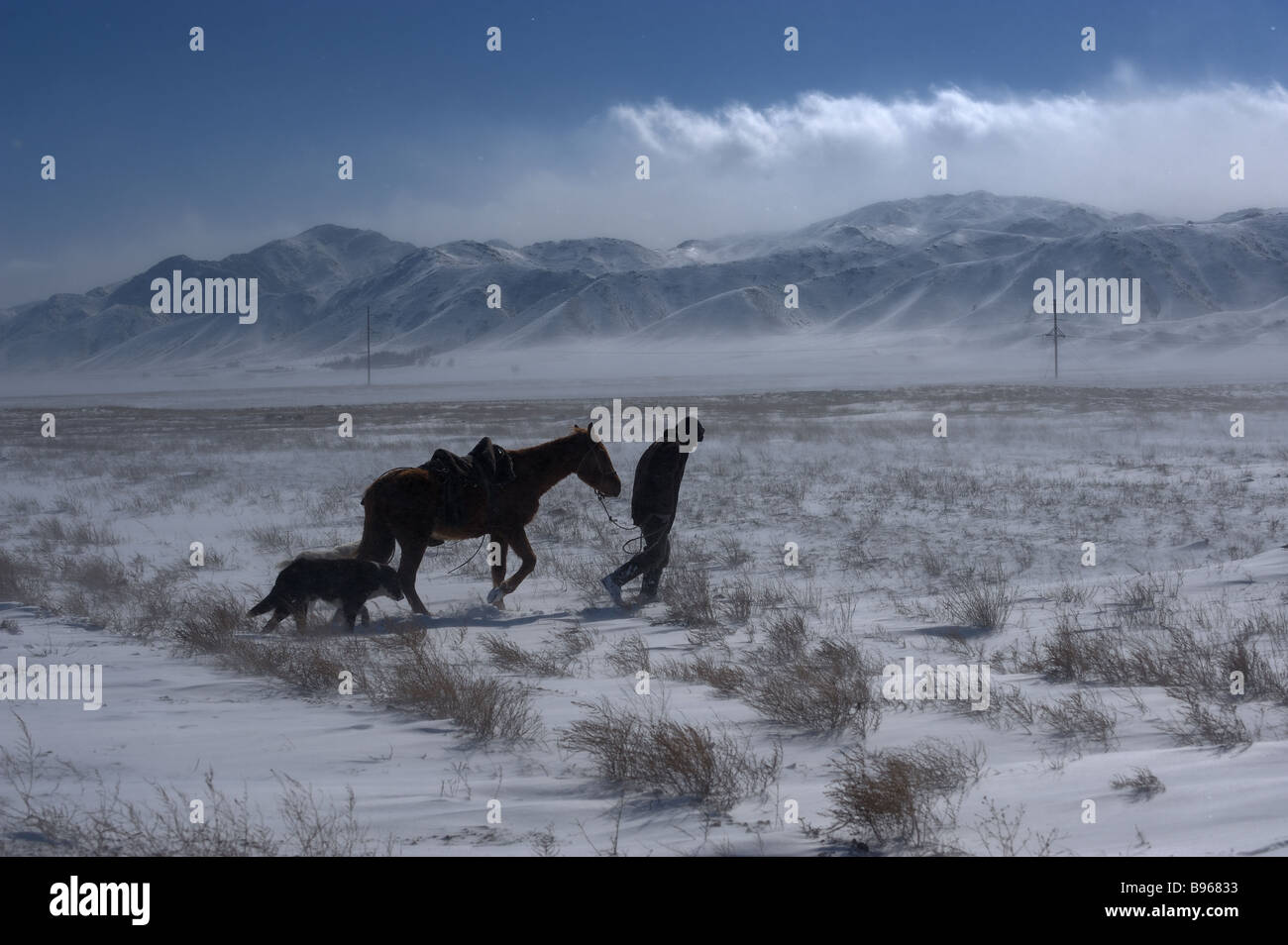 A winter snow-storm in Kazakhstan steppe Stock Photo - Alamy