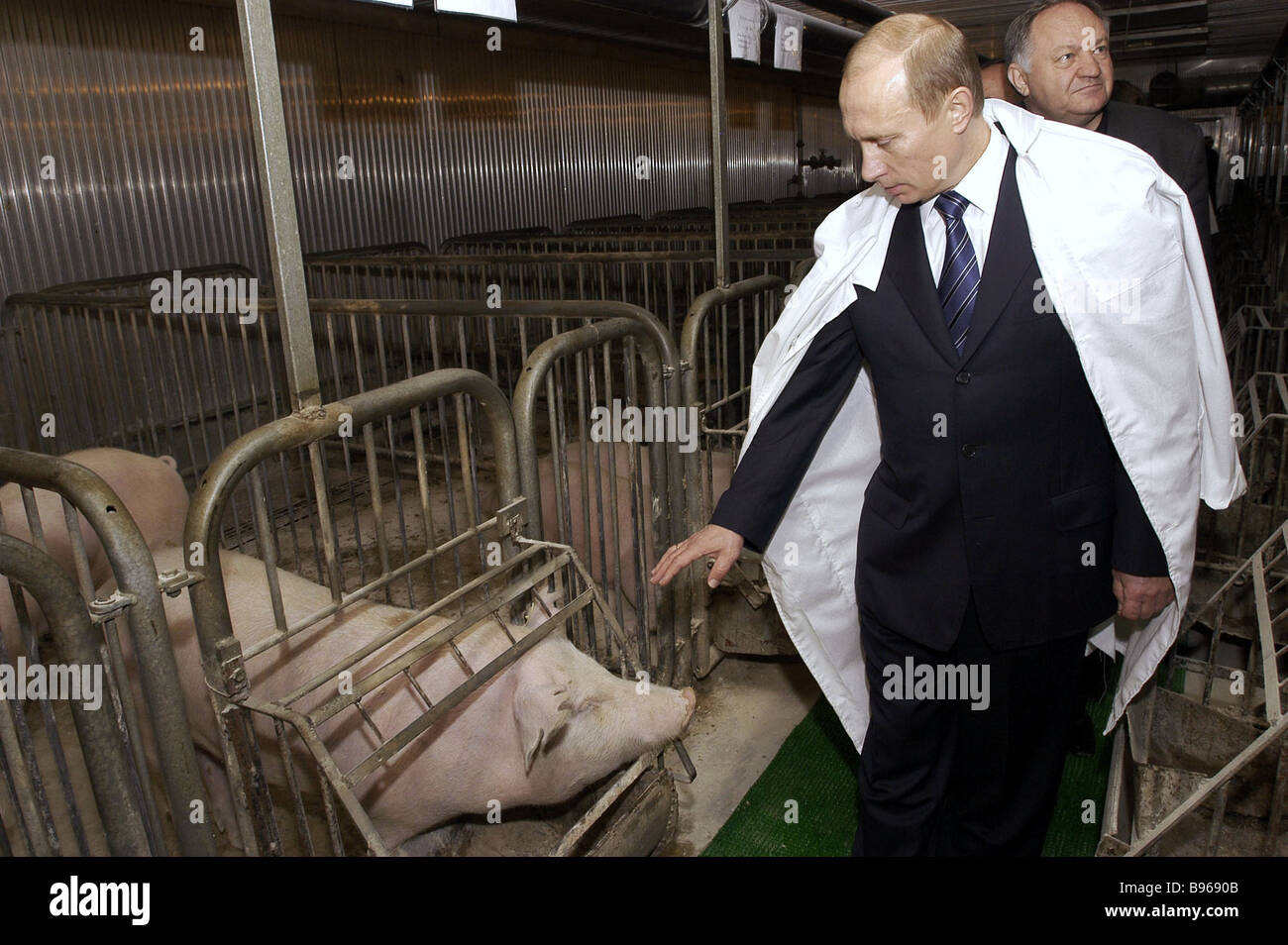 Russia s President Vladimir Putin visits a livestock farm at the ...