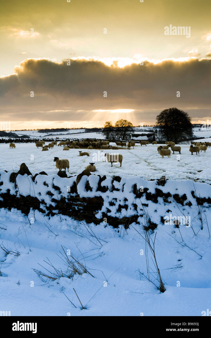 A winter sunset in the snow on the Cotswolds between Turkdean and ...