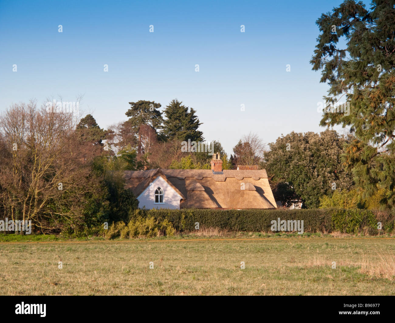 Catton park, norfolk hi-res stock photography and images - Alamy