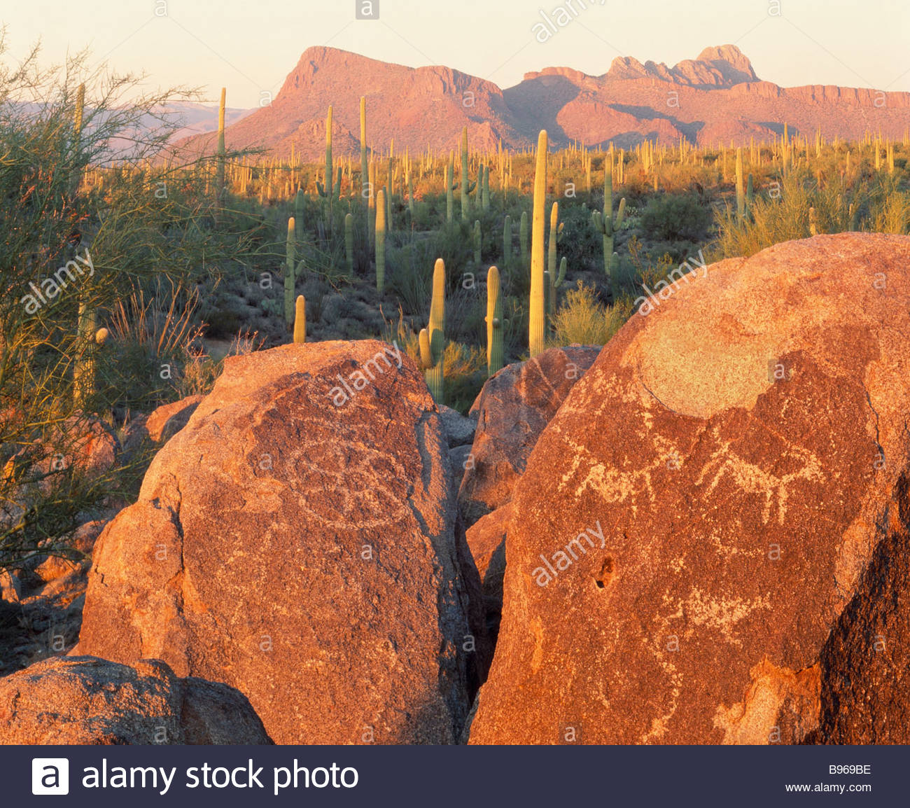 Hohokam Culture High Resolution Stock Photography and Images - Alamy