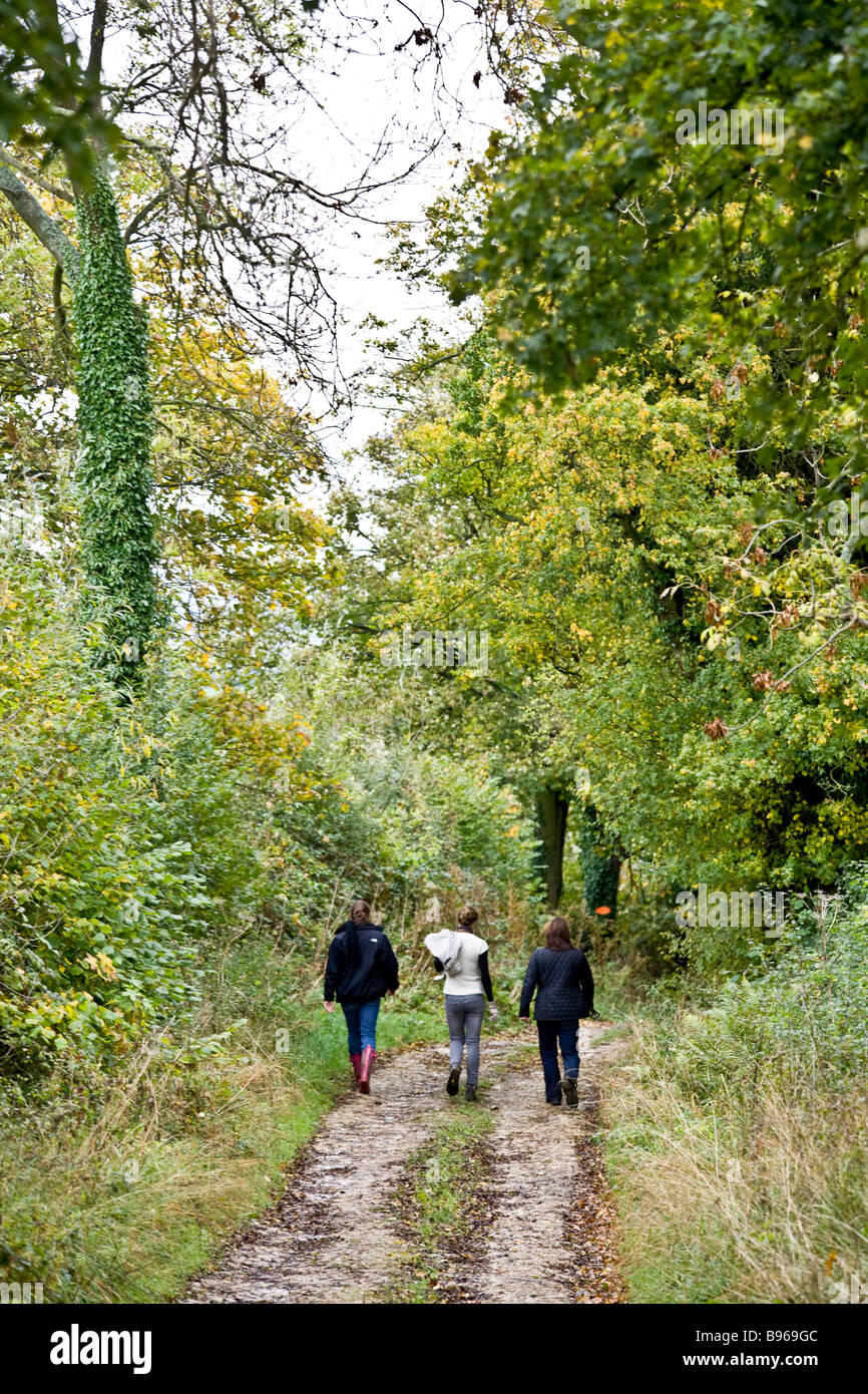 Walking down country lane in hi-res stock photography and images - Alamy