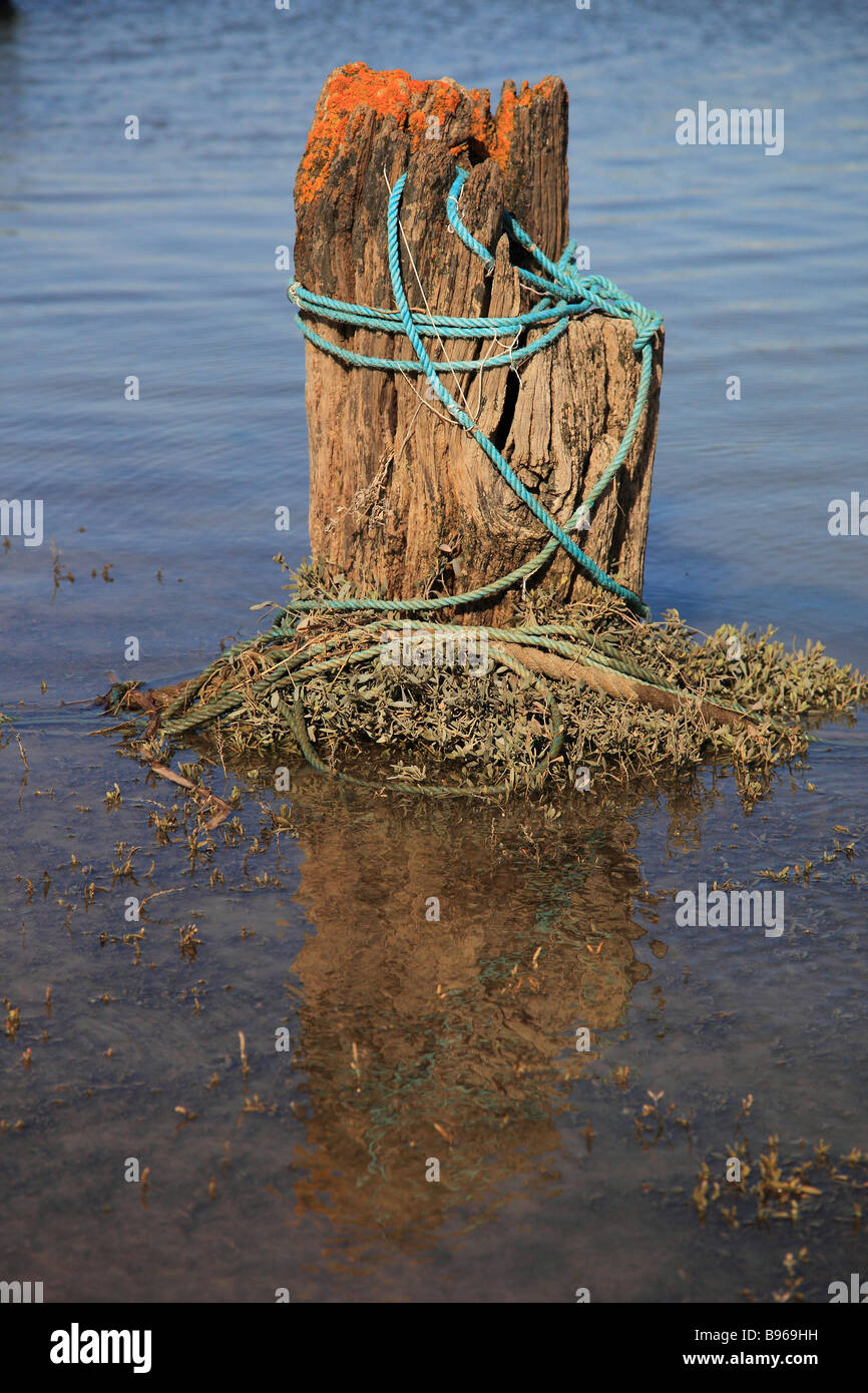 Wooden post with ropes in water in Rye harbour East Sussex England ...
