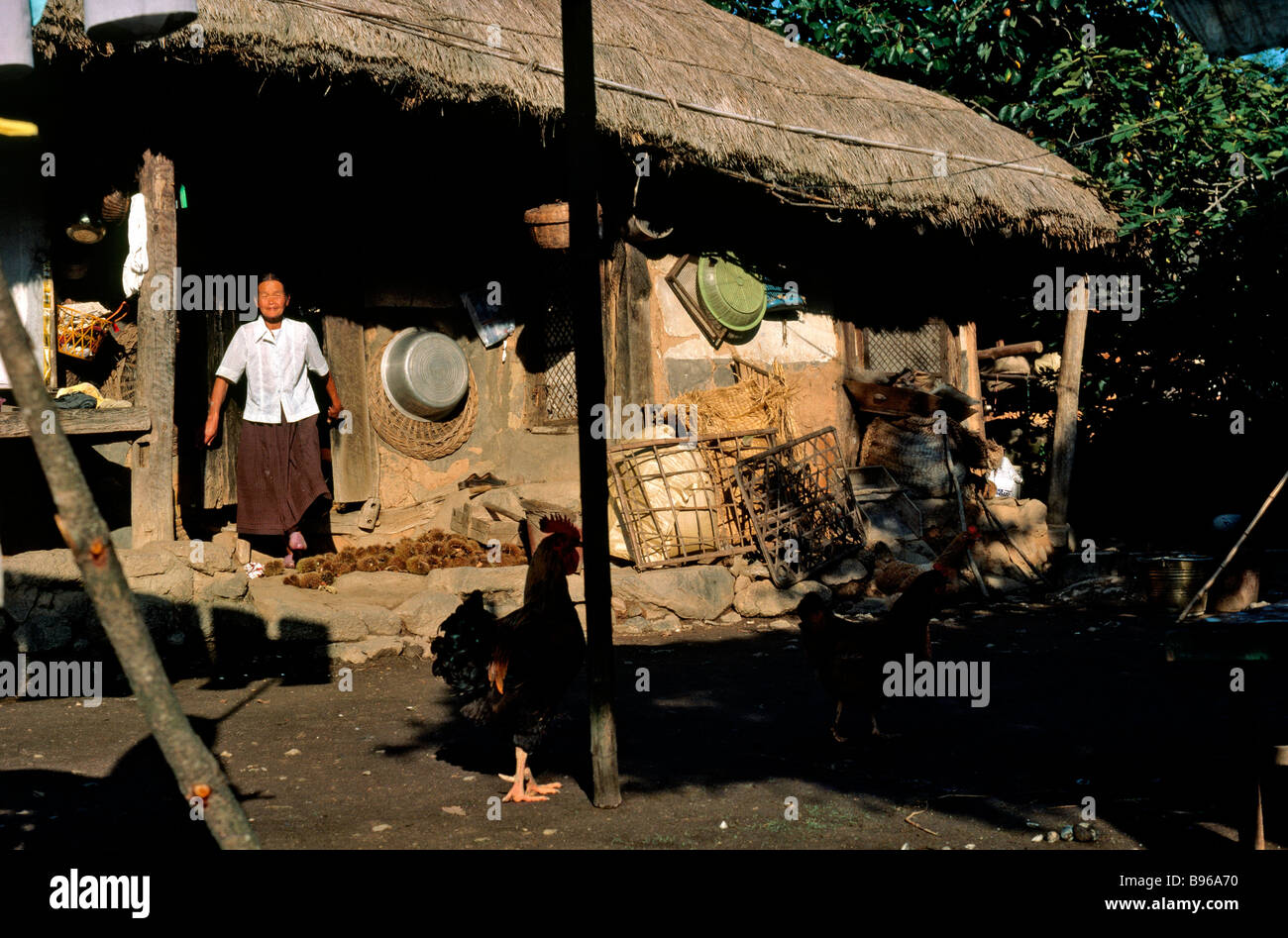 Haenam hi-res stock photography and images - Alamy