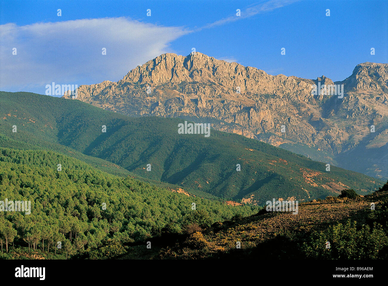 Morocco, Rif Region, surroundings of Tetouan Stock Photo - Alamy