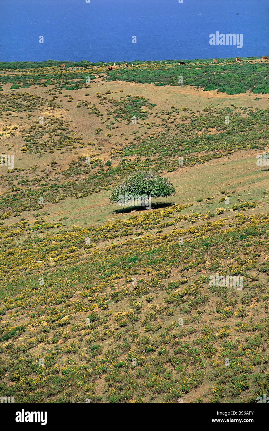 Surroundings of tangier hi-res stock photography and images - Alamy