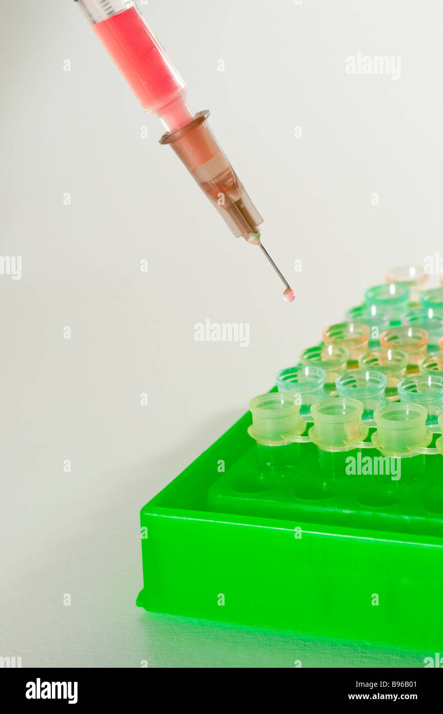 Enzyme Linked Immunosorbent Assay ELISA in a 96 well plate Stock Photo ...