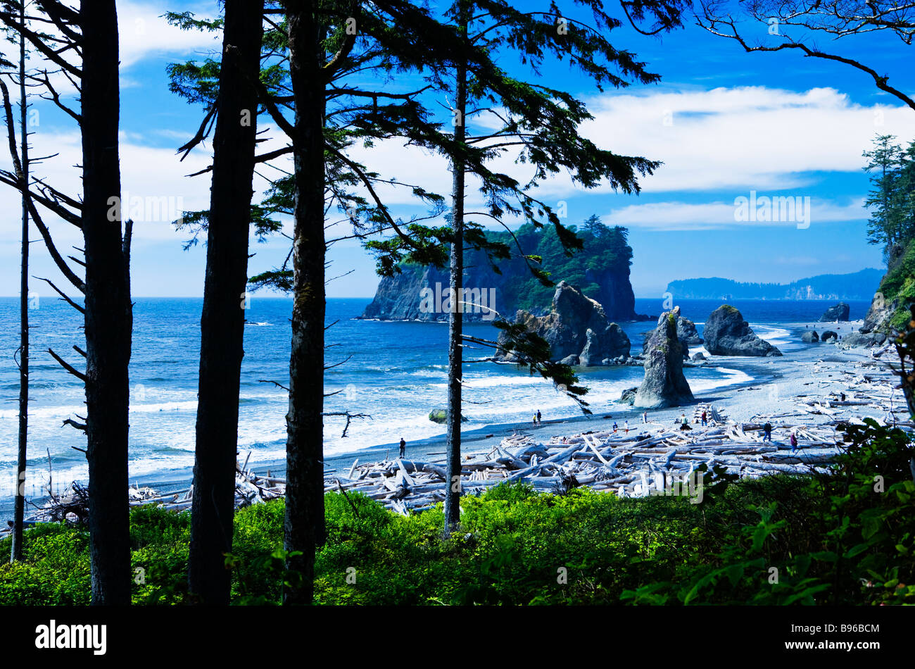 Ruby Beach. Olympic National Park, Washington may be most accessible ...