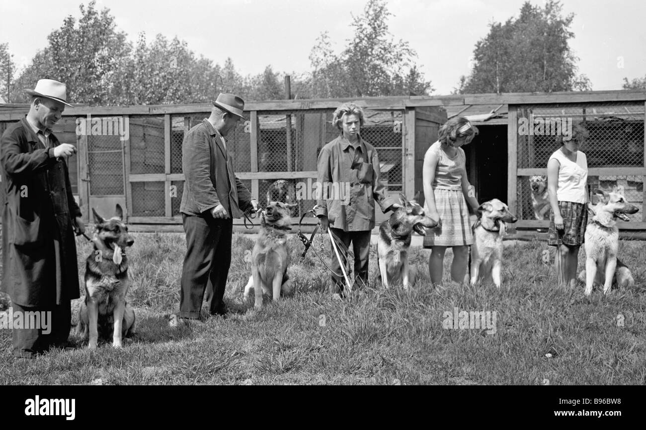 Trainers of seeing eye dogs at a Moscow dog training school Stock Photo ...