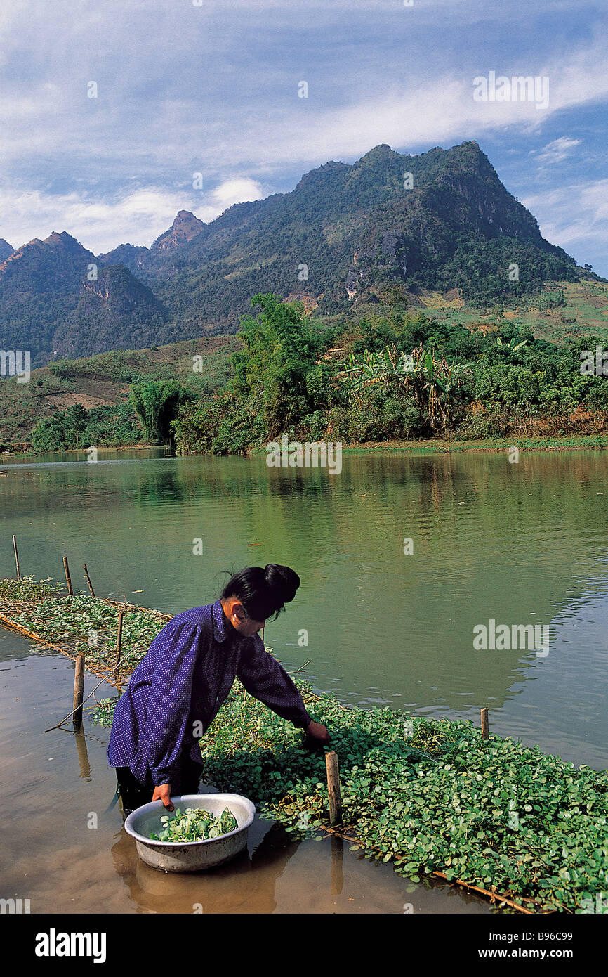 Vietnam, surroundings of Mong La, woman from Black Thai ethnic group ...