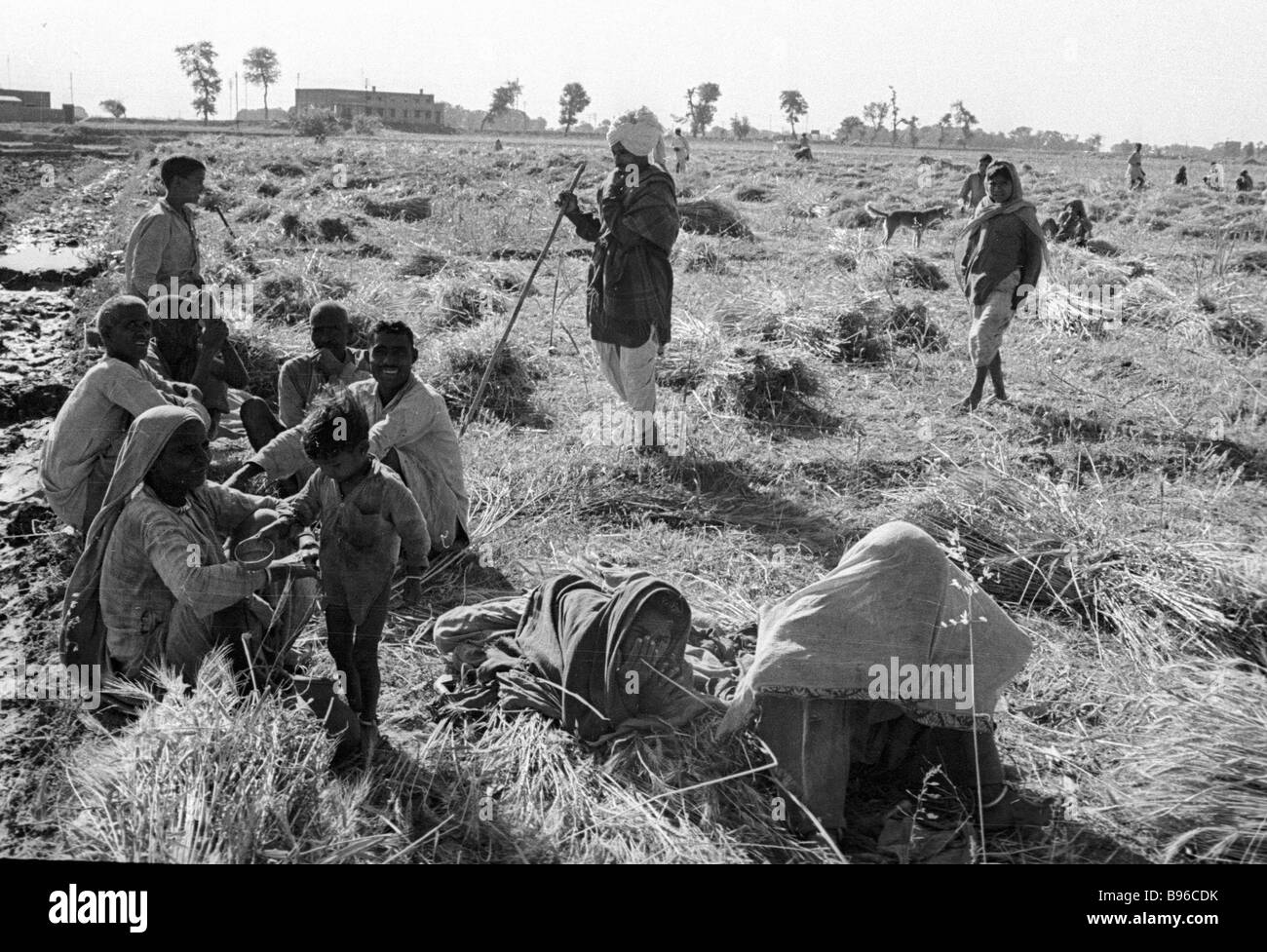Indian Farmer Black and White Stock Photos & Images - Alamy