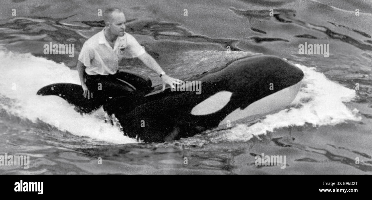 Animal trainer Jim Richards rides killer whale at San Diego oceanarium ...