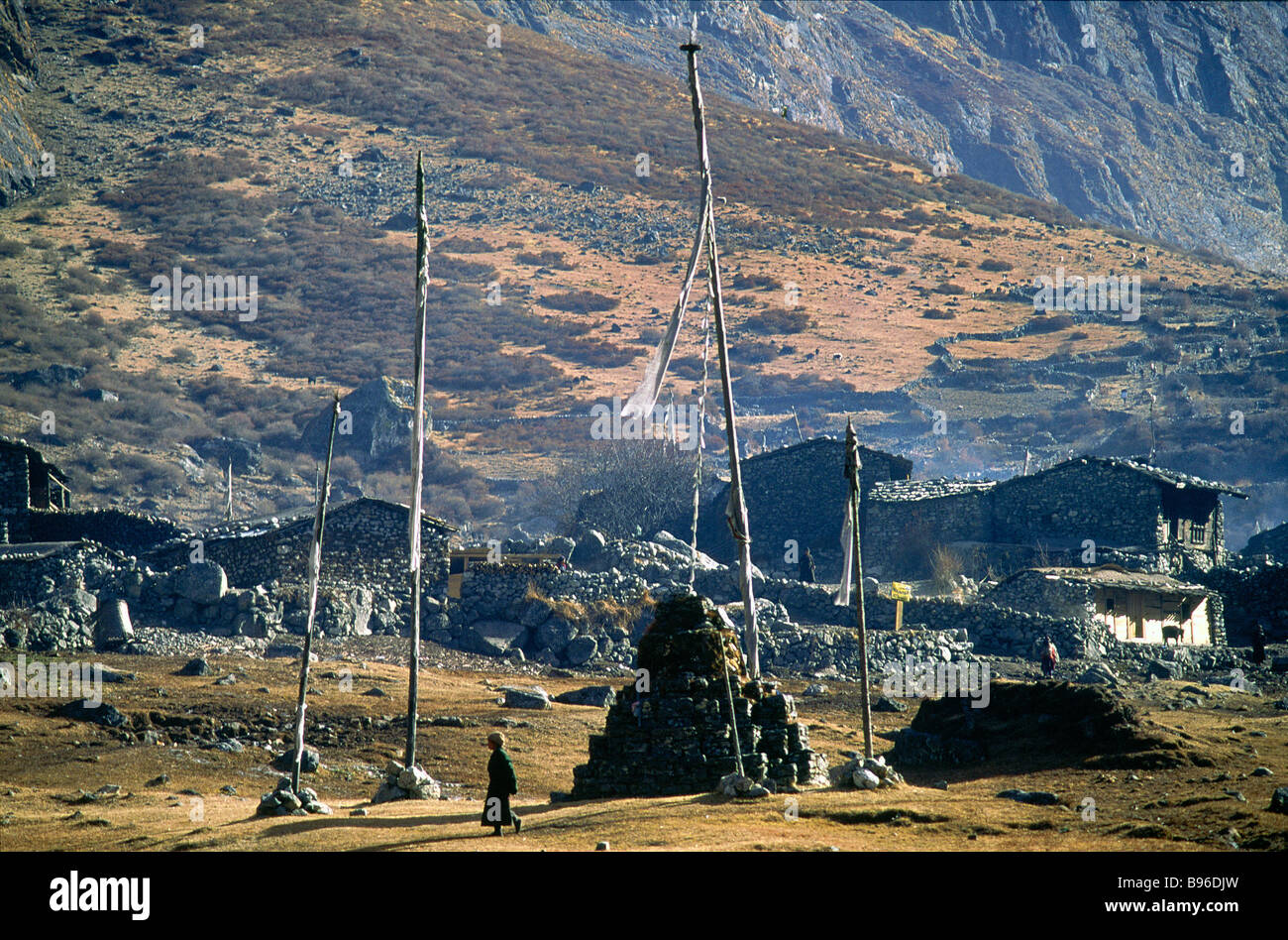 Nepal, Bagmati Zone, Rasuwa District, Langtang trek, Langtang village ...