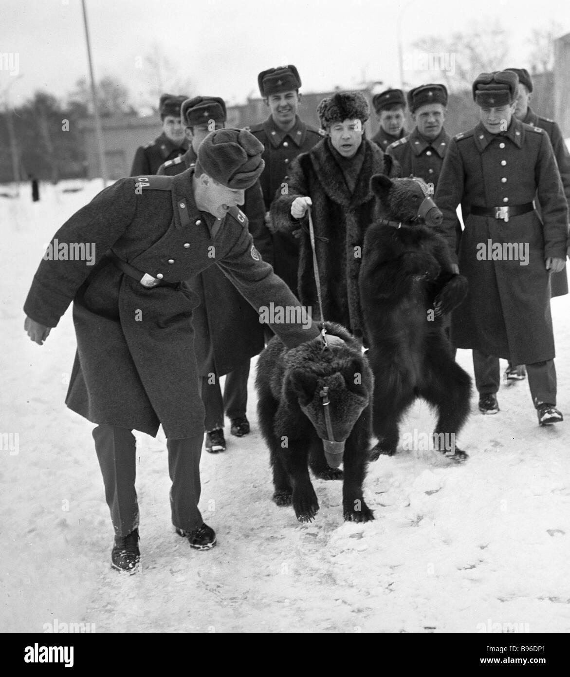 Soldiers of the Siberian military district seeing a circus bear on the ...