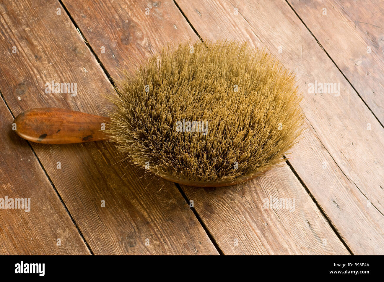 Bristled hi-res stock photography and images - Alamy