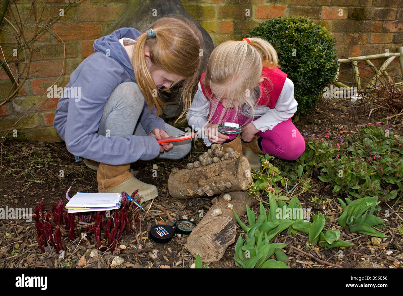 Children looking at snails and bugs under magnifying glass making notes ...