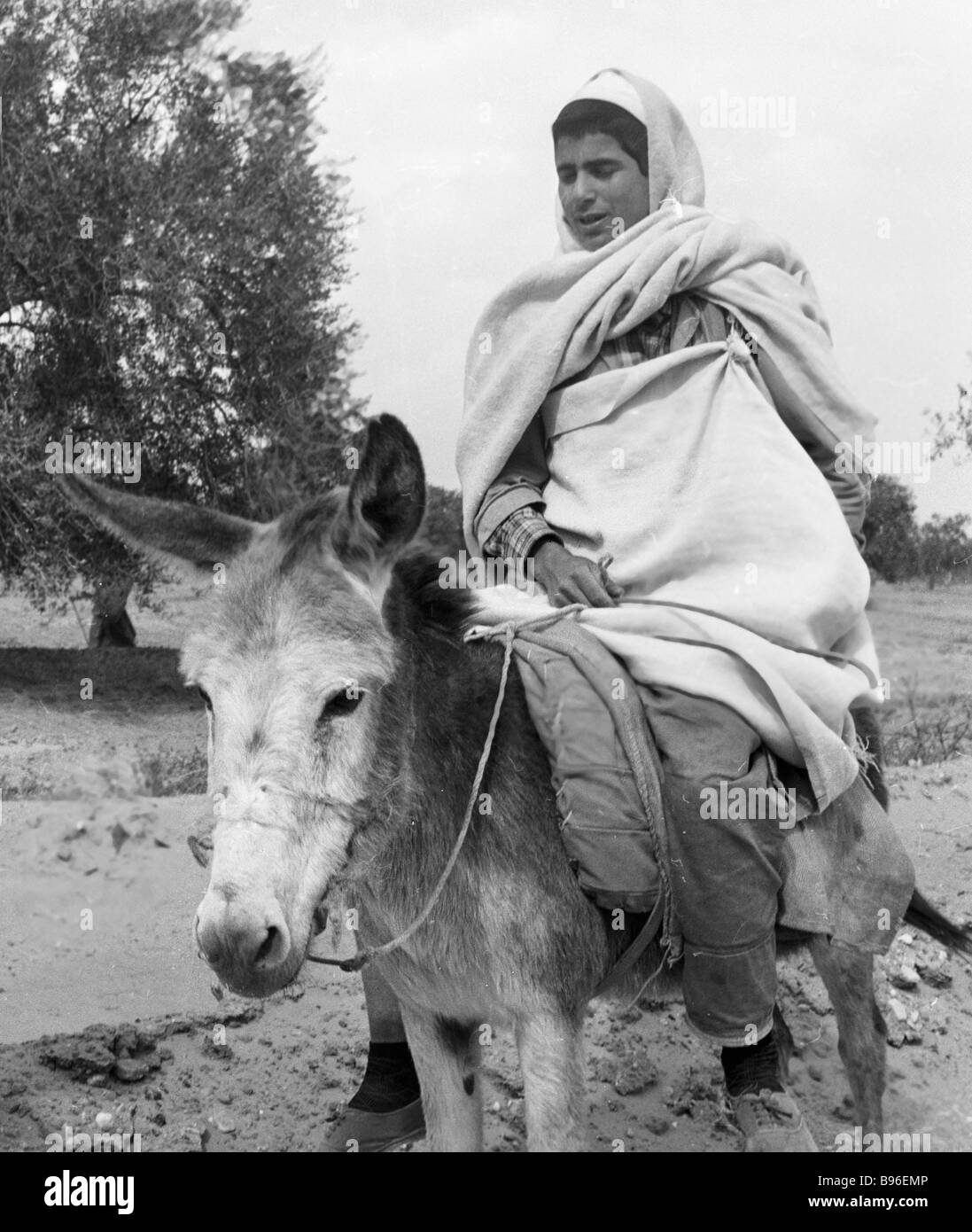 Woman riding a donkey Stock Photo - Alamy
