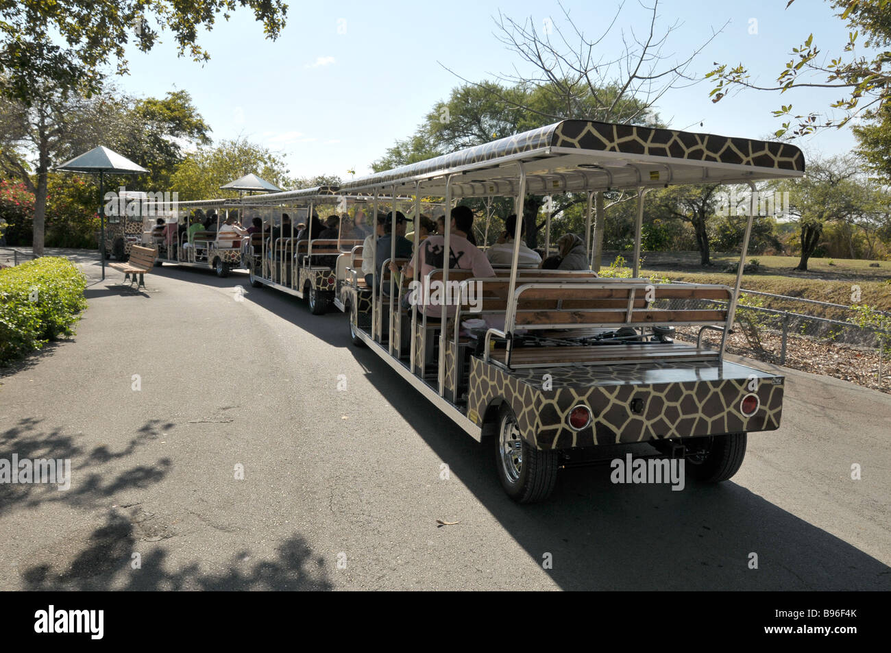 People mover tram in Miami Zoo Stock Photo - Alamy