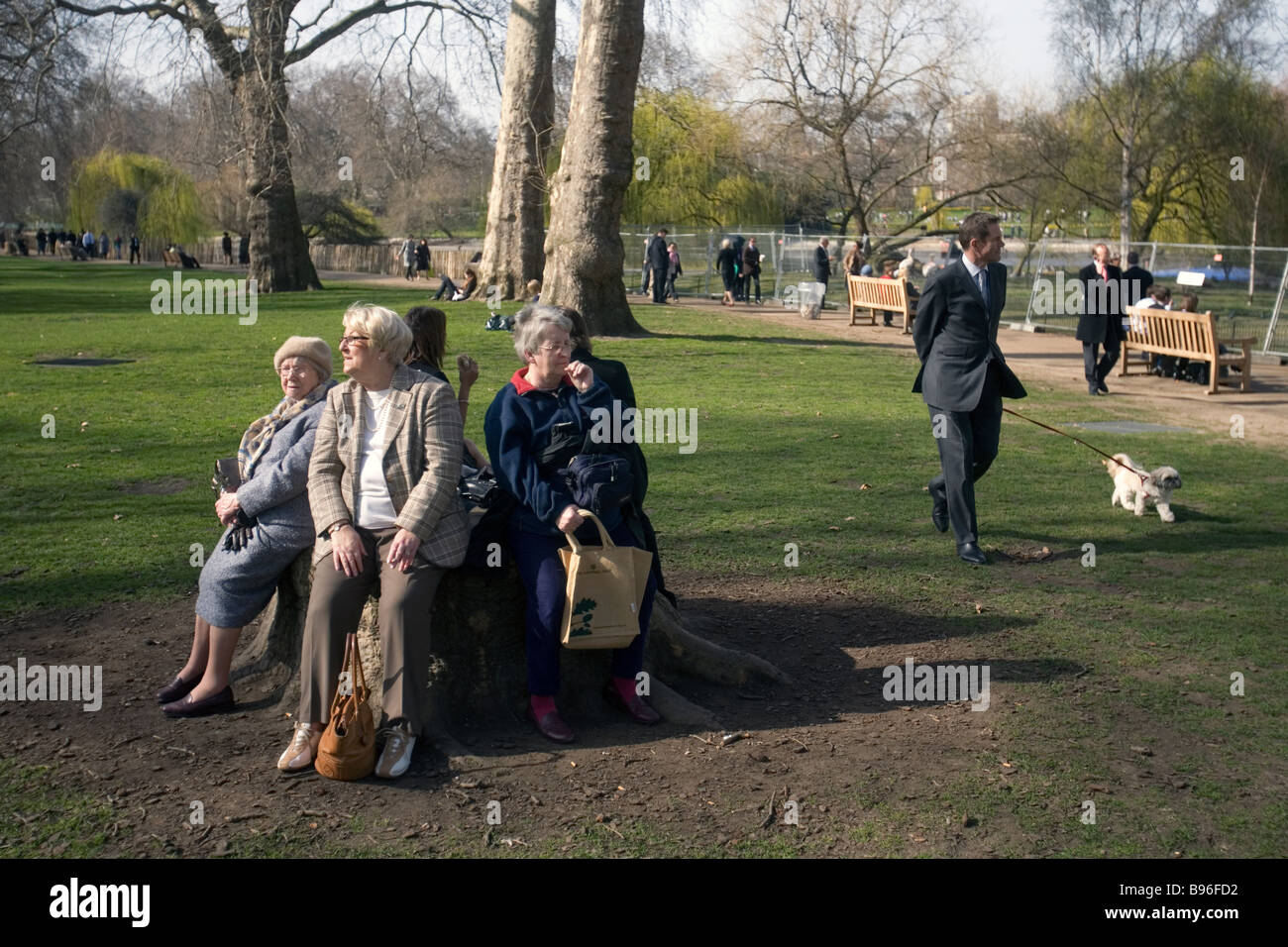 people sitting on a tree trunk in a london park Stock Photo - Alamy