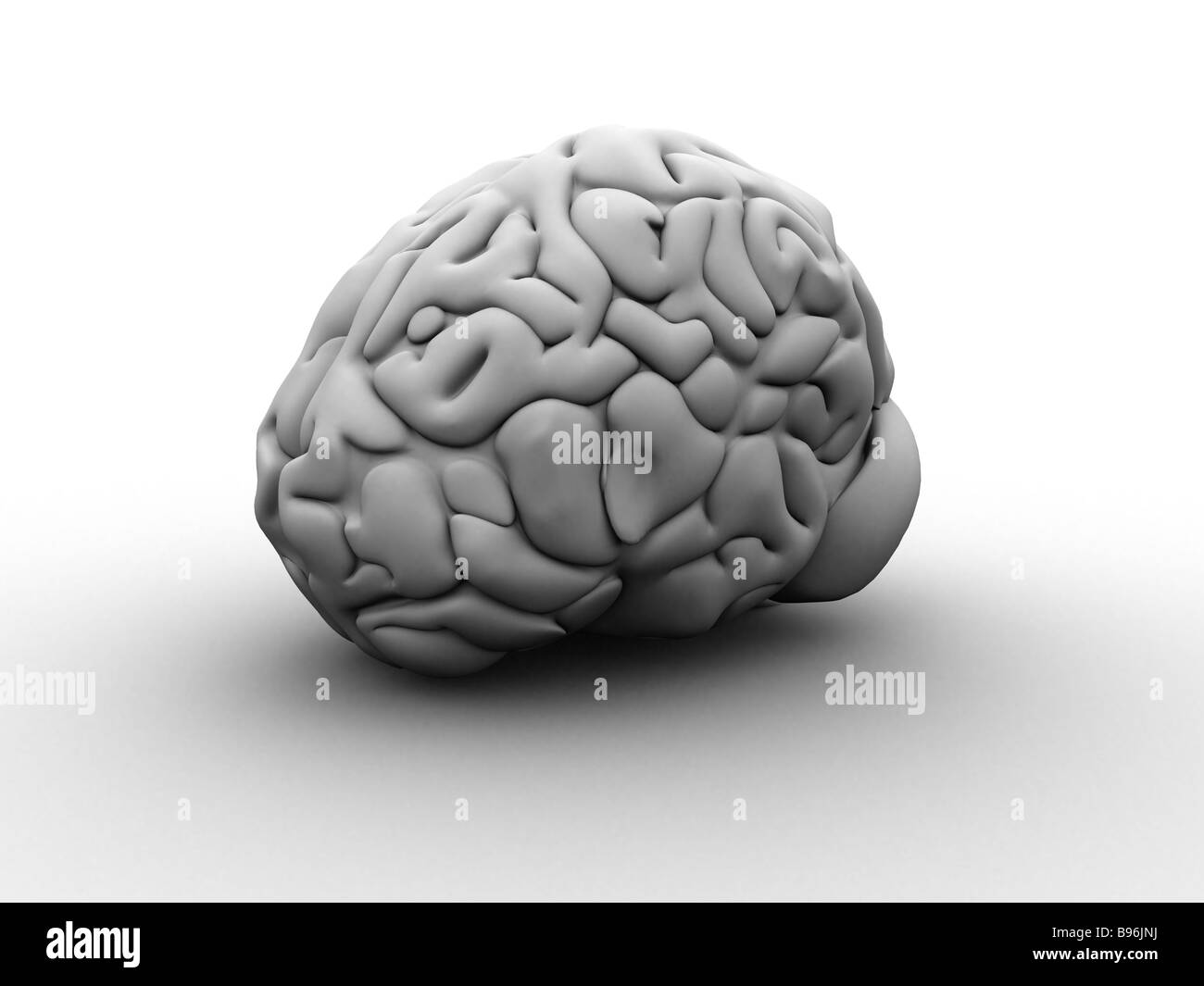 Human brain neuron hi-res stock photography and images - Alamy