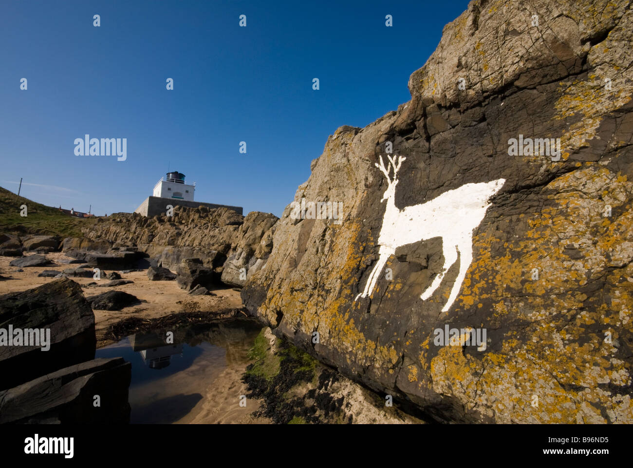 Stag Rock and Lighthouse, Bamburgh Stock Photo - Alamy