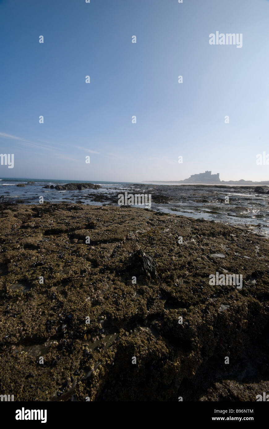 Bamburgh Coast and Castle Stock Photo - Alamy