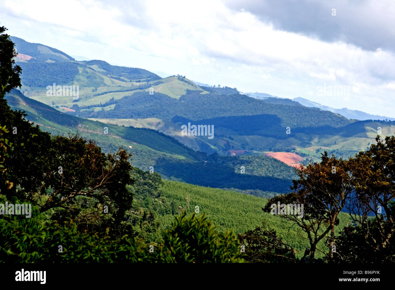 Atlantic forest landscape Stock Photo - Alamy
