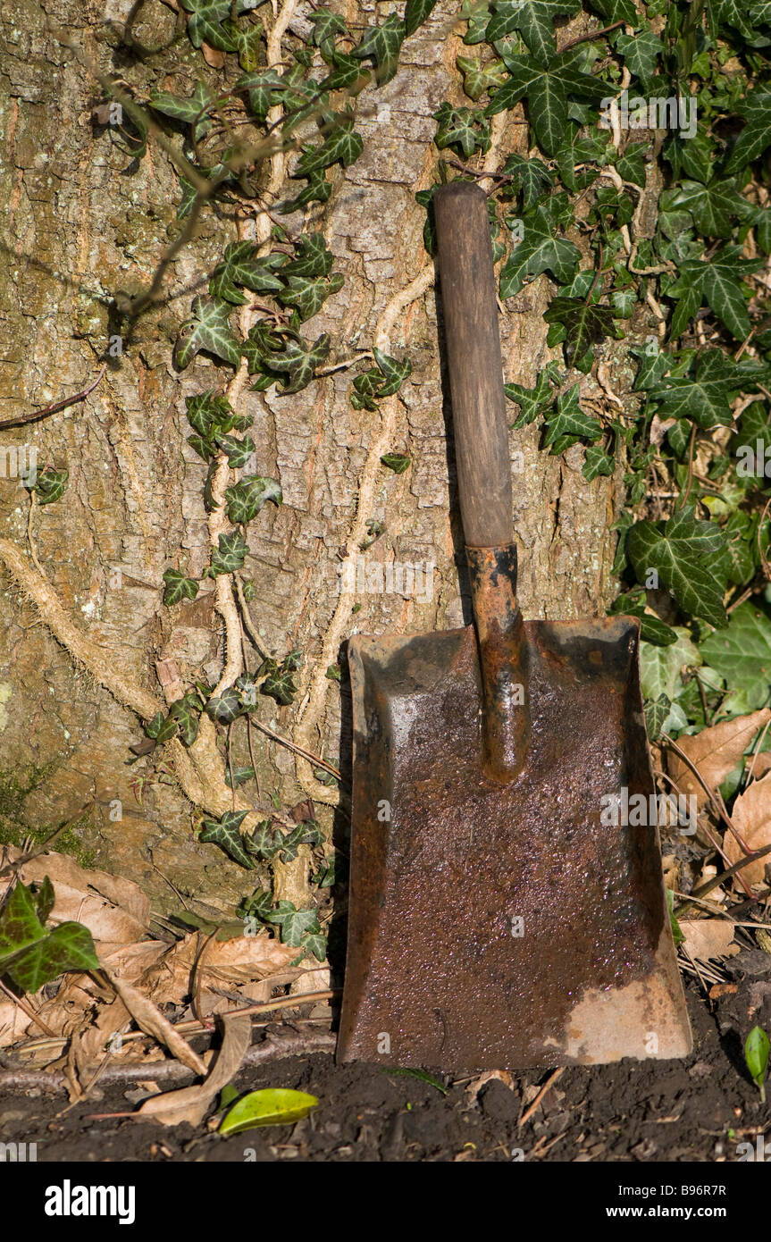 Garden shovel propped up against a tree trunk Stock Photo - Alamy