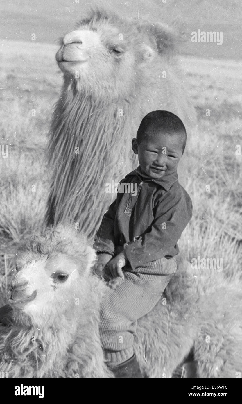 A child riding a white colt Stock Photo - Alamy