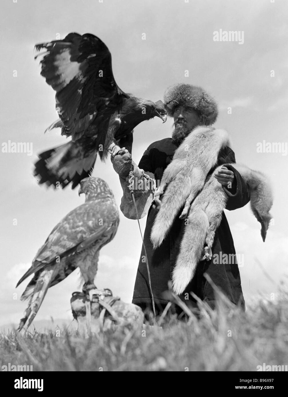Hunter and his tamed falcon and hawk and foxes they have caught Stock ...