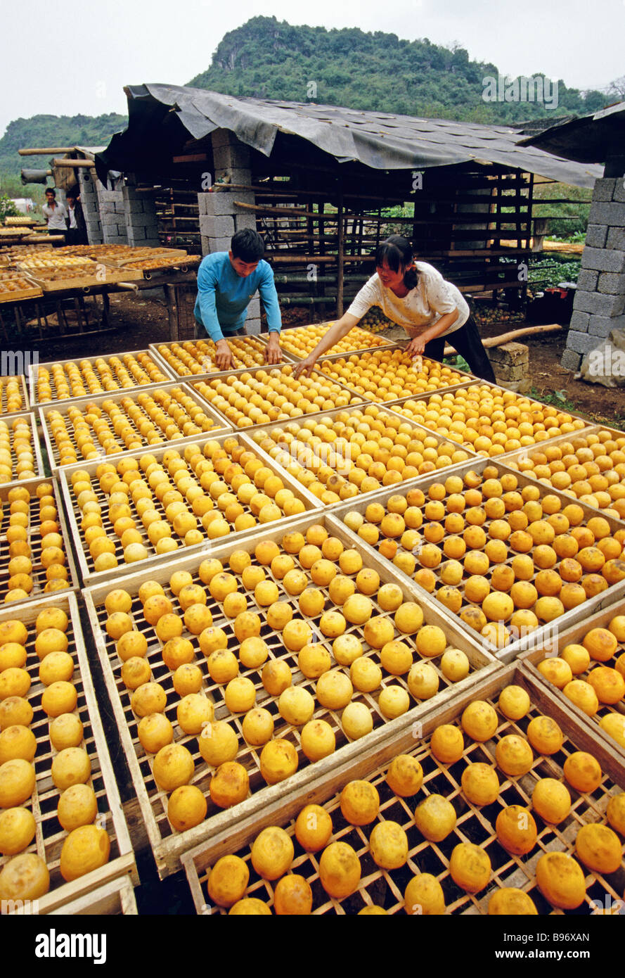 Hong chee hi-res stock photography and images - Alamy