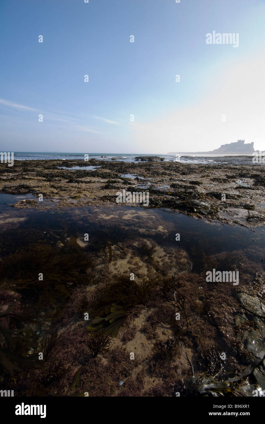 Bamburgh Coast and Castle Stock Photo - Alamy