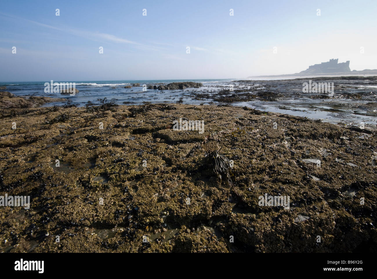 Bamburgh coast hi-res stock photography and images - Alamy