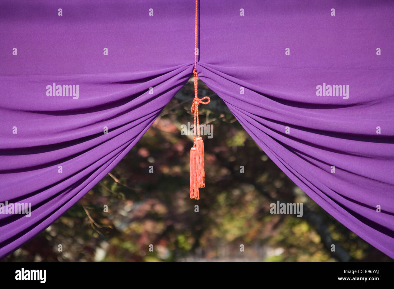 Purple shroud hi-res stock photography and images - Alamy