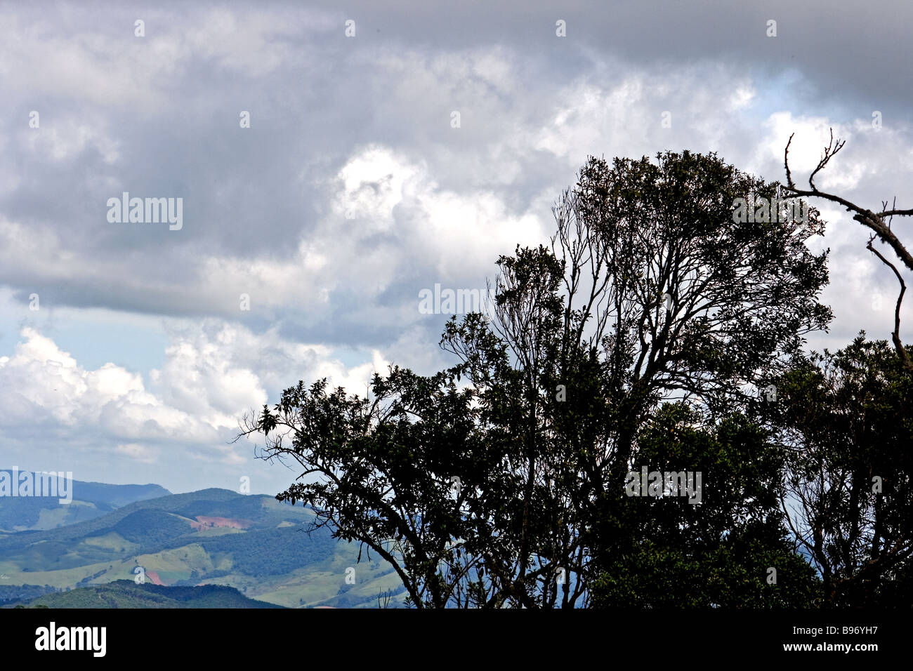 Atlantic forest landscape Stock Photo - Alamy