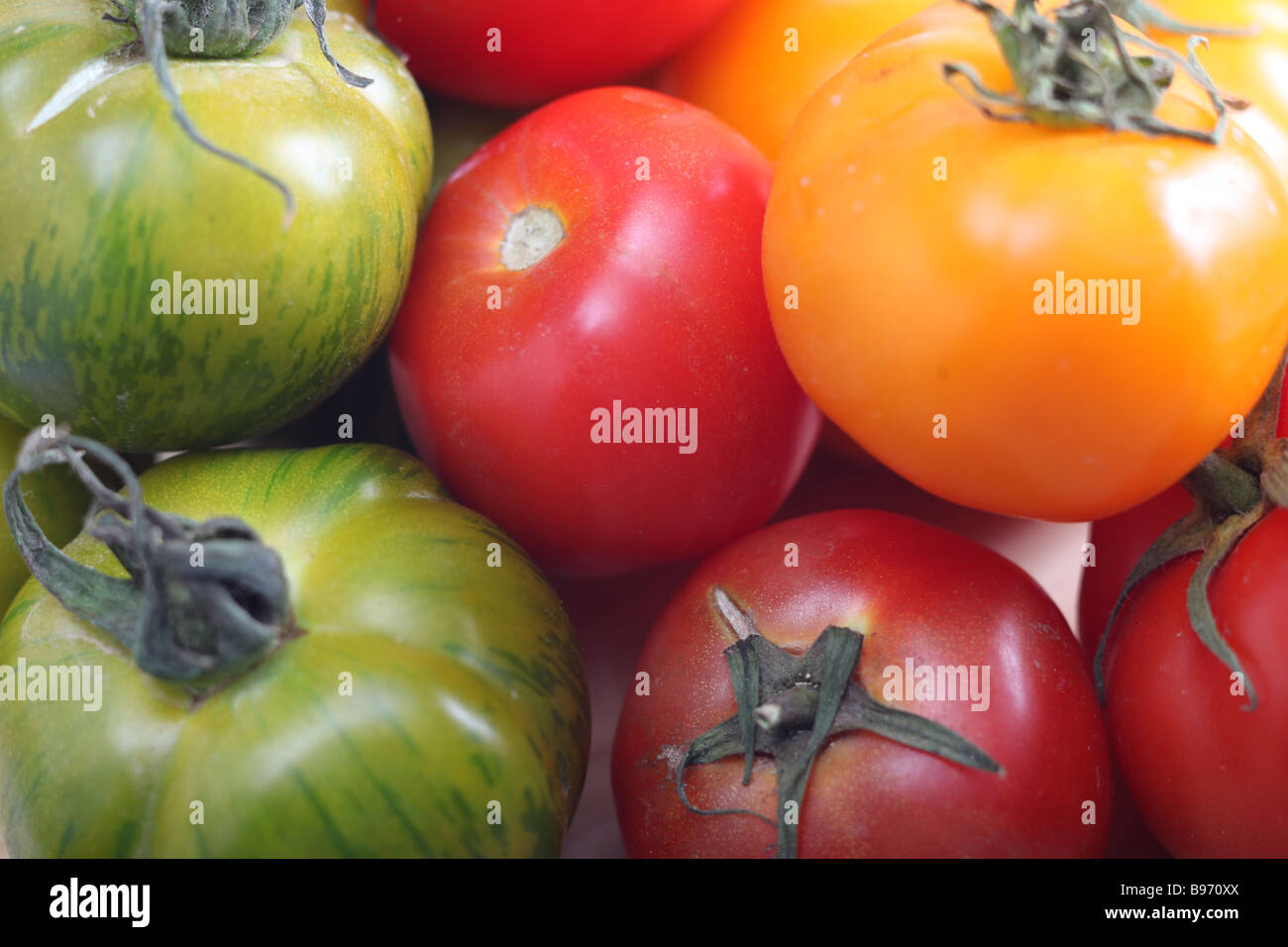 Genetic diversity hi-res stock photography and images - Alamy