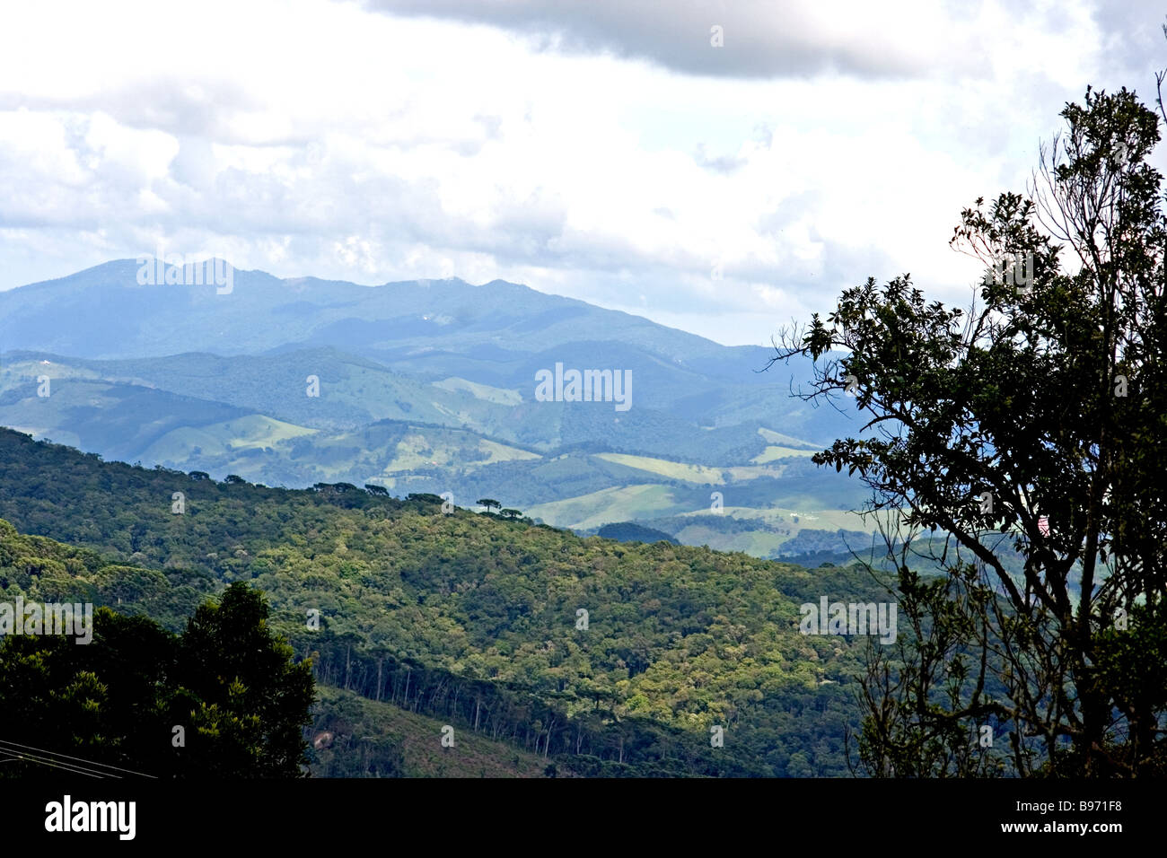 Atlantic forest landscape Stock Photo - Alamy